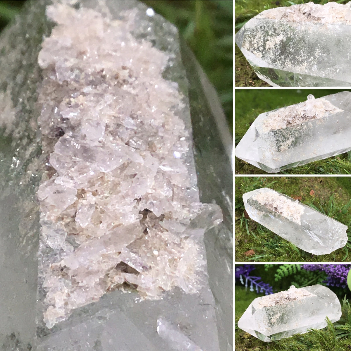 UNEARTHED TREASURE- Barnacle Quartz Natural Point – Fairy Leonie's Crystals